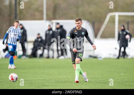 Varde, Denmark. 19th, January 2024. Goalkeeper Nico Mantl of Viborg FF ...