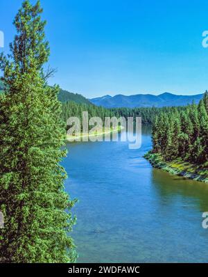 clark fork river flowing through a forested valley near lozeau, montana ...
