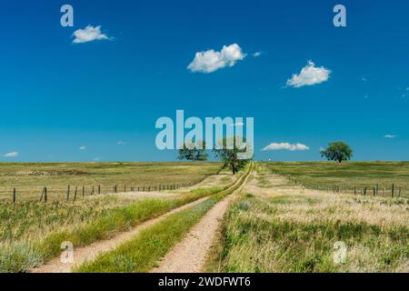 A prairie trail in the Souris River Valley, Western Manitoba, Canada ...