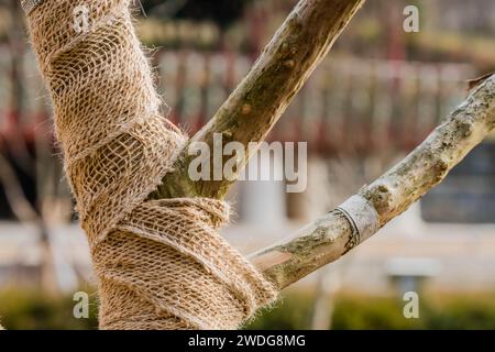 Closeup shot of a South Korean young female with a mask sitting on ...