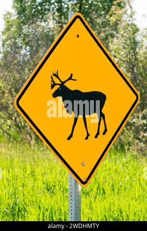 Elk crossing the road caution sign Stock Photo - Alamy
