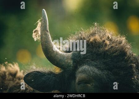 Rustic Roots Stock Photography Stock Photo - Alamy
