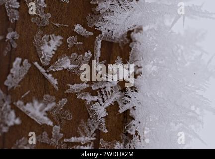 Rustic Roots Stock Photography Stock Photo - Alamy