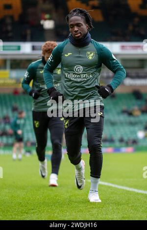 Jonathan Rowe of Norwich City - Norwich City v West Bromwich Albion ...