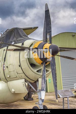 Fairey Gannet at the Yorkshire Air Museum, Elvington Stock Photo - Alamy