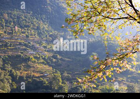 the valley and village of Birethanti in Nepal, view of Poonhill circle ...