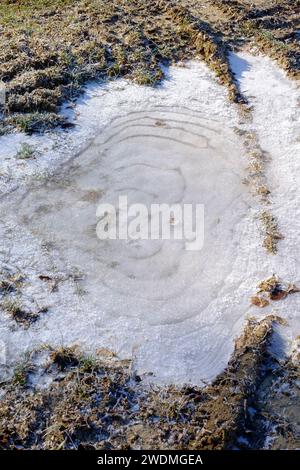 intricate swirls form patterns in large frozen puddle rural countryside ...