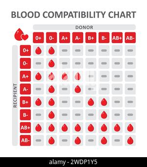 Blood Type Compatibility Table / Chart with Donor and Recipient Groups ...
