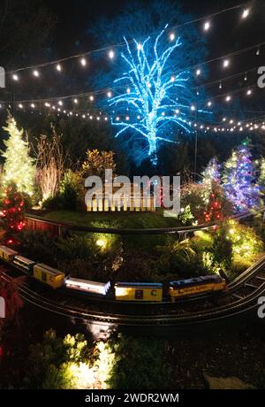 Christmas Lights and Festive Displays at Longwood Gardens, Botanical ...
