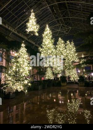 Christmas Lights and Festive Displays at Longwood Gardens, Botanical ...