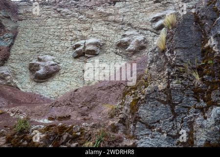 Dinosaur footprint in Cordillera mountains, Peru Stock Photo - Alamy