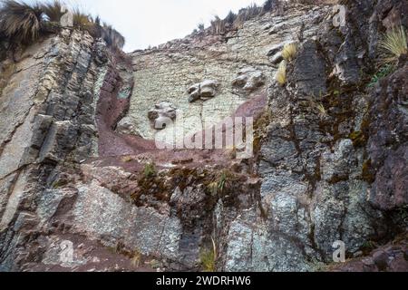 Dinosaur footprint in Cordillera mountains, Peru Stock Photo - Alamy