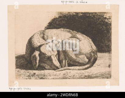 Sleeping Dog, Hendrik Jozef Franciscus van der Poorten, 1842 print ...