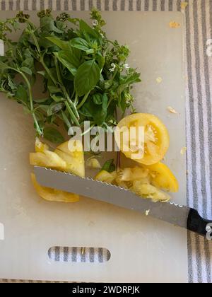 Organic heirloom tomatoes with fresh basil leaves, shot from above on a ...