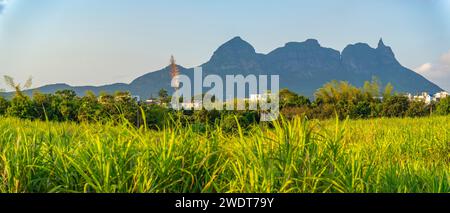 View of farmland and mountains near Quatre Bornes, Mauritius, Indian ...