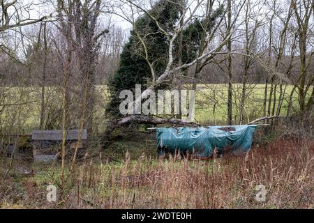 Fallen tree on stored boat in farm land Stock Photo - Alamy