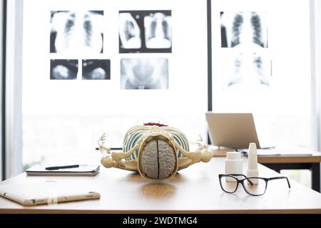 Skeleton with organs, brain, bones, joints Stock Photo - Alamy