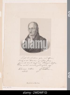 PortraT van Johann Wolfgang von Goethe, 1791 print paper engraving ...