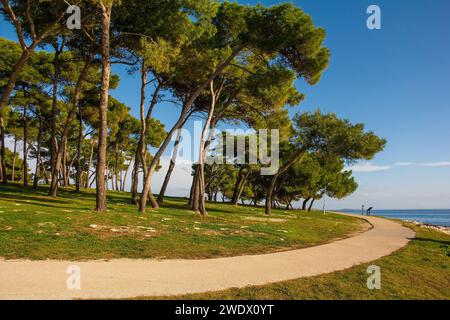 The coast of the Kasteja Forest Park - Park Suma Kasteja - in Medulin ...