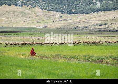 Agelman Ou Haoul, parque nacional Ifran, Atlas Medio, Marruecos, Africa ...