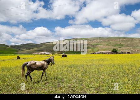 Agelman Ou Haoul, parque nacional Ifran, Atlas Medio, Marruecos, Africa ...
