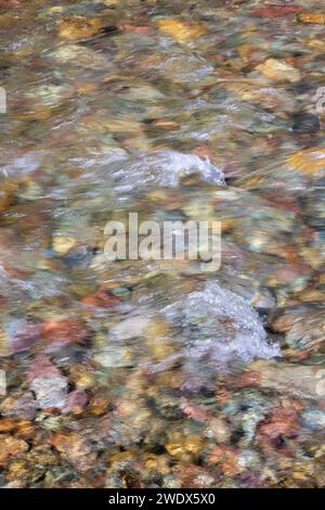Naturally colorful river rocks under water in Glacier National Park ...