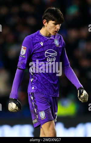 Sheffield Wednesday goalkeeper James Beadle during the Sky Bet ...