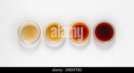 Different classes of maple syrups in different colours in glass dishes ...