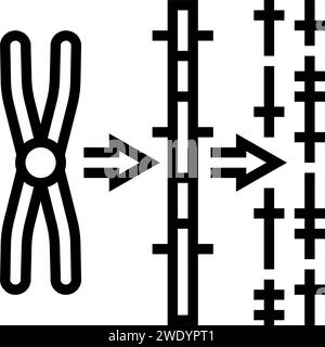 gene mapping cryptogenetics line icon vector illustration Stock Vector ...