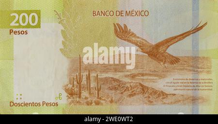 Mexico 200 pesos banknote close up Mexican money bills currency front ...