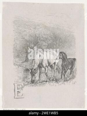 Letter E and a landscape with a horse and a foal Stock Photo - Alamy
