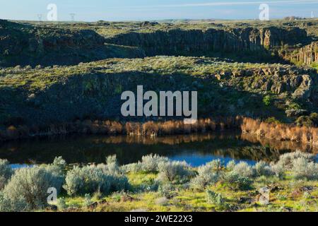 Pond along Ancient Lake Trail, Quincy Lakes Unit - Desert Basin ...