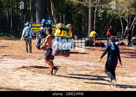Porter carrying a heavy load, Phu Kradueng National Park, Loei ...