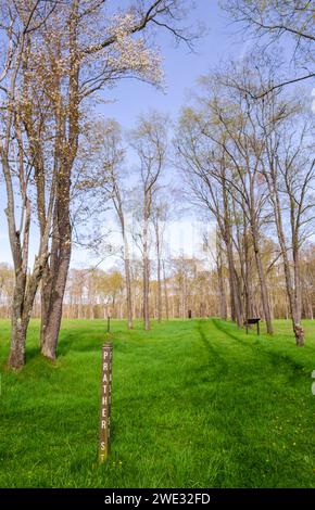 The Town of Pithole, a ghost town in Cornplanter Township, Venango ...
