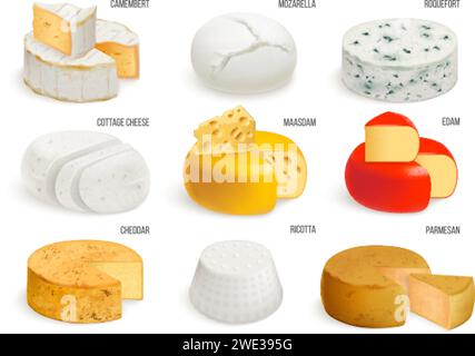 A cartoon vector illustration of various cheeses around a round plate ...