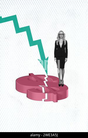Creative vertical collage image standing confused young woman black white dollar arrow decrease ...