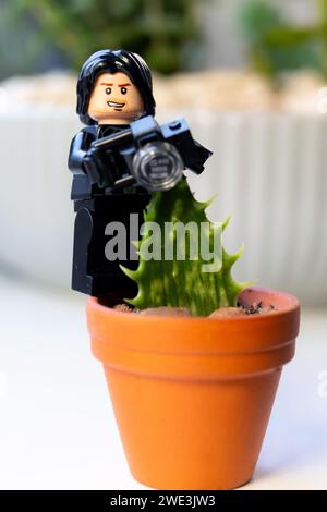 Lego character with mini Cactus plant. Shaun Fellows / Alamy Stock ...