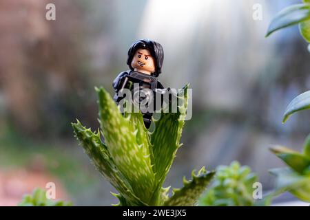 Lego character with mini Cactus plant. Shaun Fellows / Alamy Stock ...