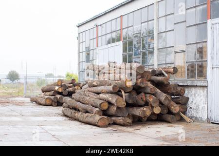 Sawing tree trunks in a heap Stock Photo - Alamy