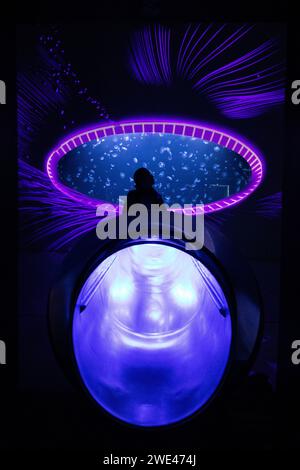 Big aquarium with jellyfish or meduses in the neon light in new opened ...