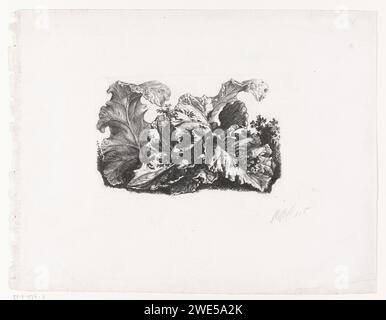 Leaves of the Great Klit, Carl Wilhelm Kolbe (I), 1767 - 1835 print ...