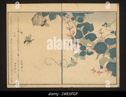 Wasps and Hairy Caterpillar on Arrowroot. Page 2b and 3a in Utamaro ...