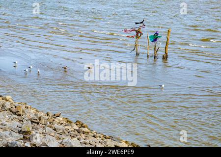 Voodoo dolls on sticks along the shoreline of the Mississippi River at ...