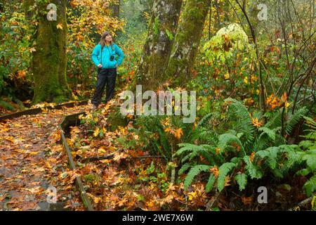 McLane Creek Nature Trail, Capital State Forest, Washington Stock Photo ...
