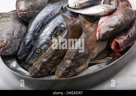 Raw fish mix for cooking shark, kingfish Stock Photo - Alamy