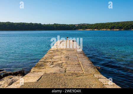 A swimming pier on the coast of Kasteja Forest Park - Park Suma Kasteja ...