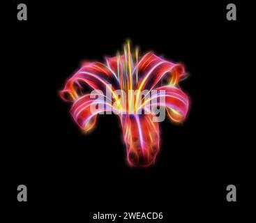 Artistic pink Lilly Stock Photo - Alamy