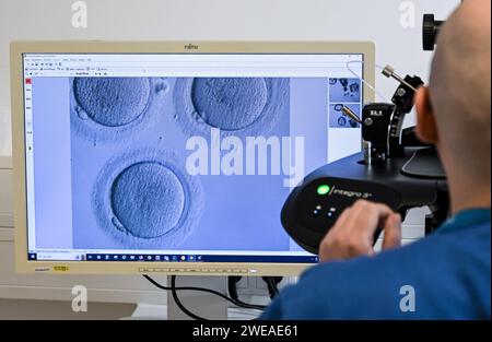 PRODUCTION - 17 January 2024, Berlin: In the cell laboratory at the ...
