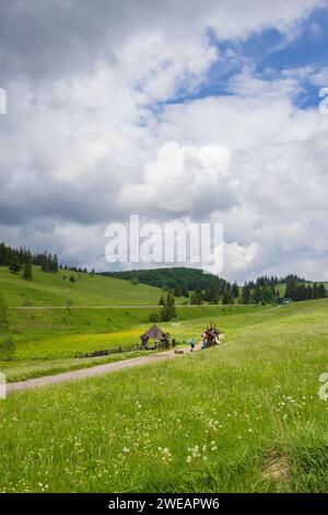Spring of Hron, Horehronie, Low Tatras, Slovakia Stock Photo - Alamy