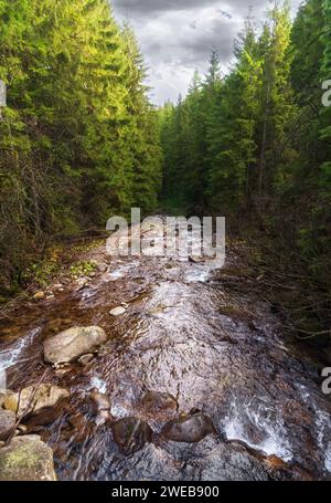 beautiful fast mountain river in autumn forest Stock Photo - Alamy